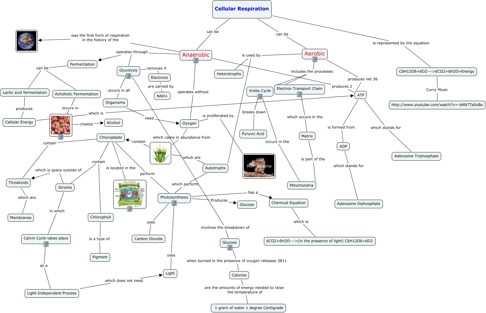 Aerobic Cellular Respiration Concept Map