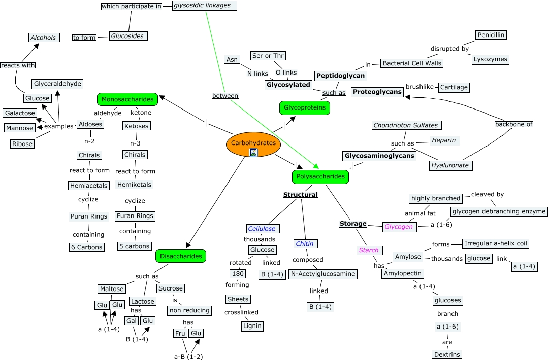 Biochemistry- Carbohydrates