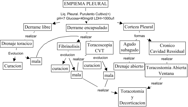 empiema pleural - neumologia