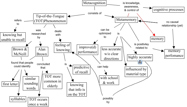 Metacognition Version 1 - Ch. 7