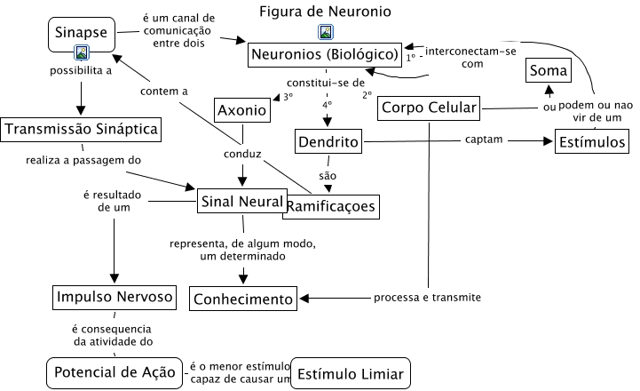Neuronio_Biologico - Neuronio Biologico
