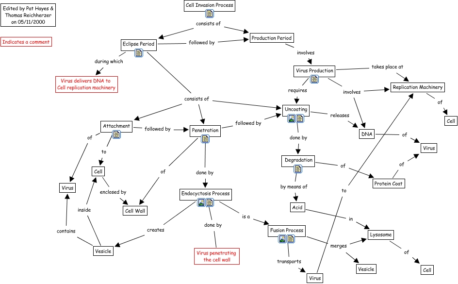 Cell Invasion Process-2 - A description about a cell invasion process