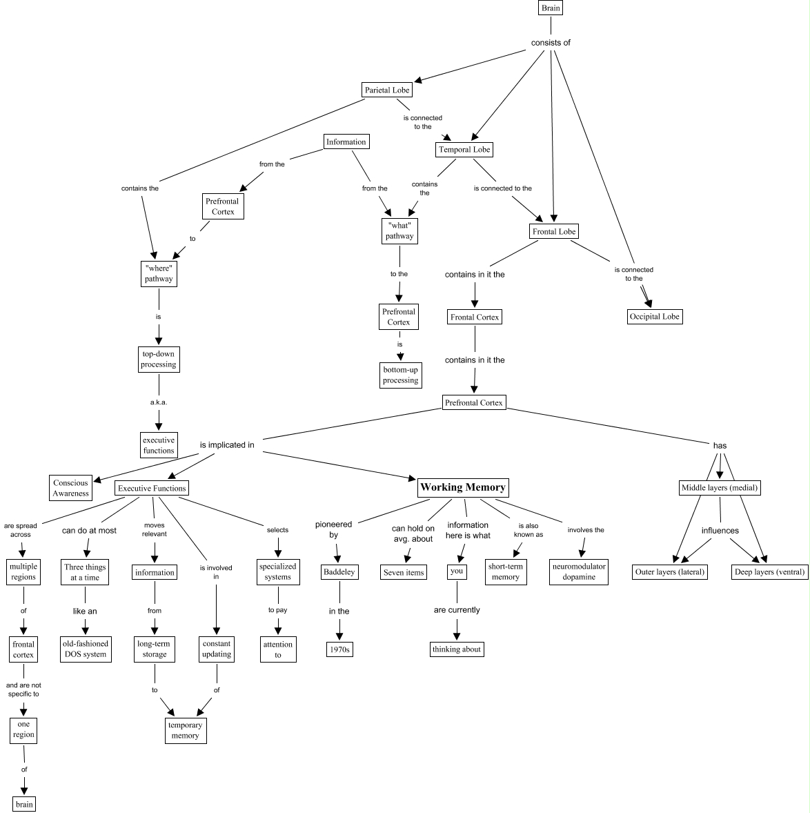 Working_Memory - Brain/Mind