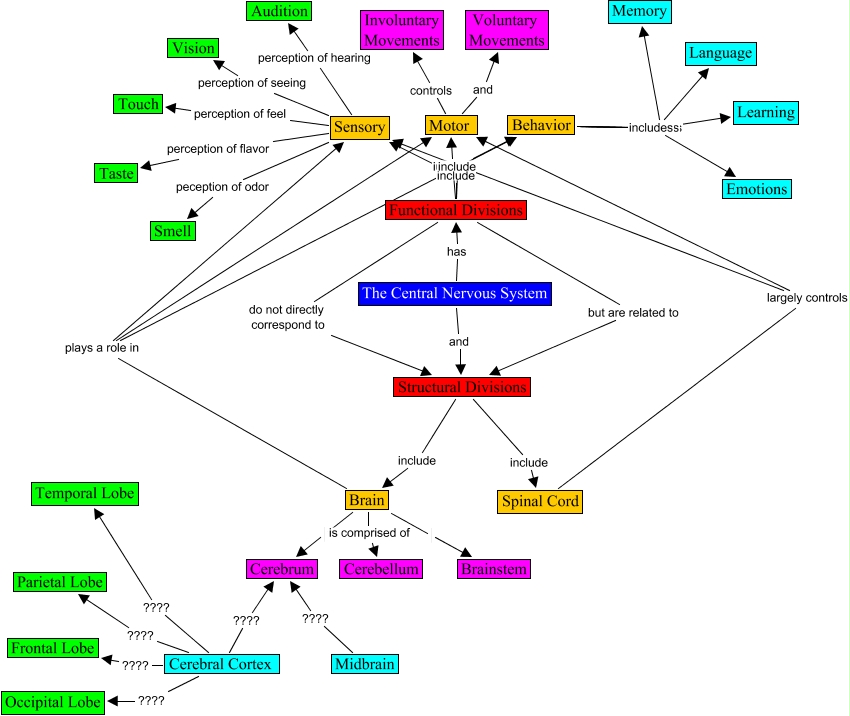 CNS by Helana - concept map