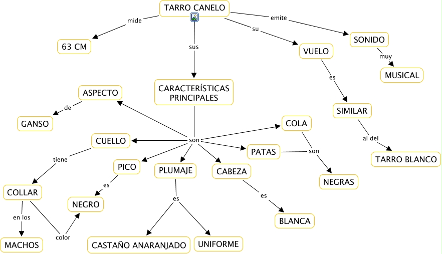 tarro canelo - mapa del tarro canelo