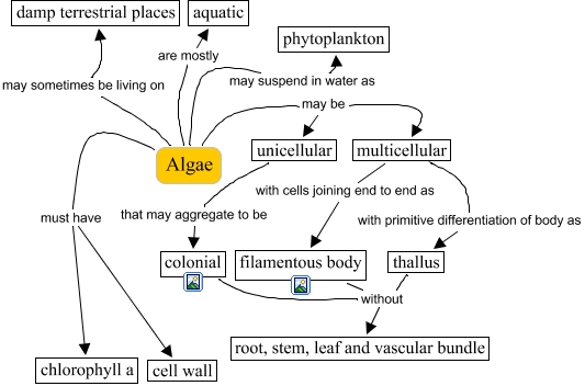 AlgaeGeneral01 - General Characteristics of Algae