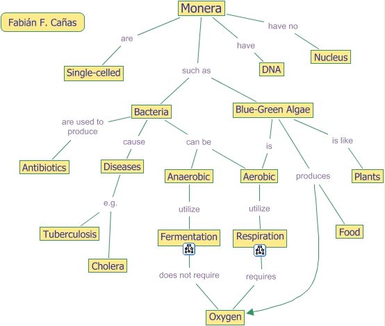 Monera - English