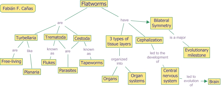 Flatworms