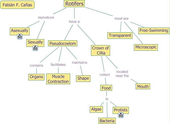 Rotifers