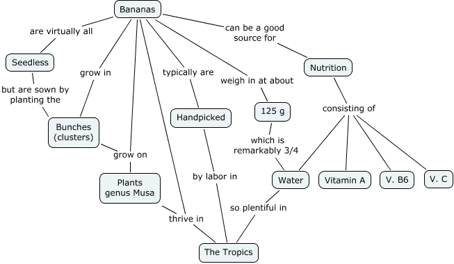 Bananas - What are bananas?