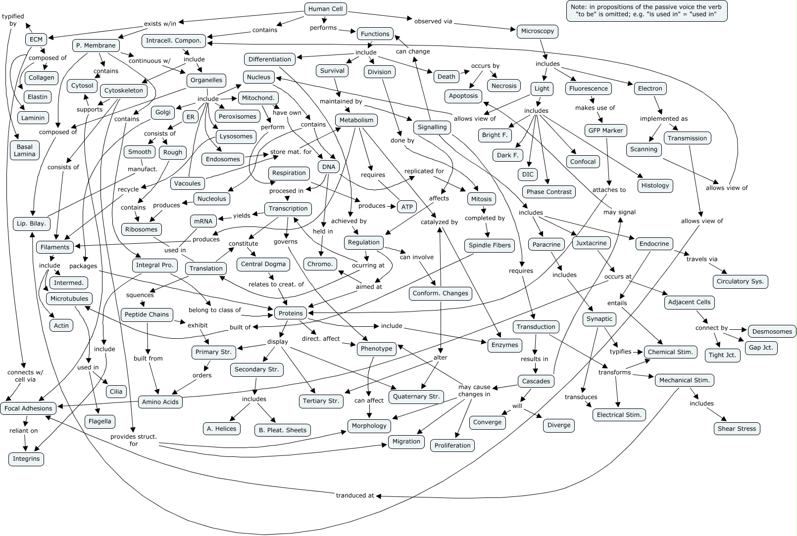 Cell Division Concept Map