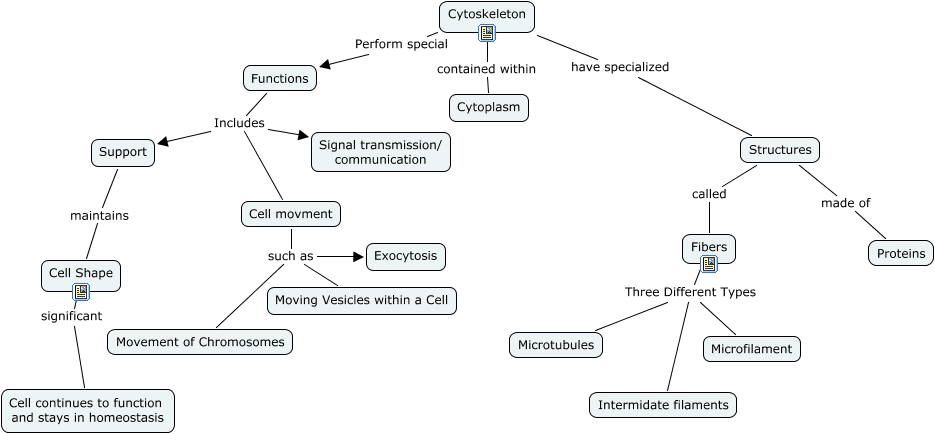 cytoskeletonred