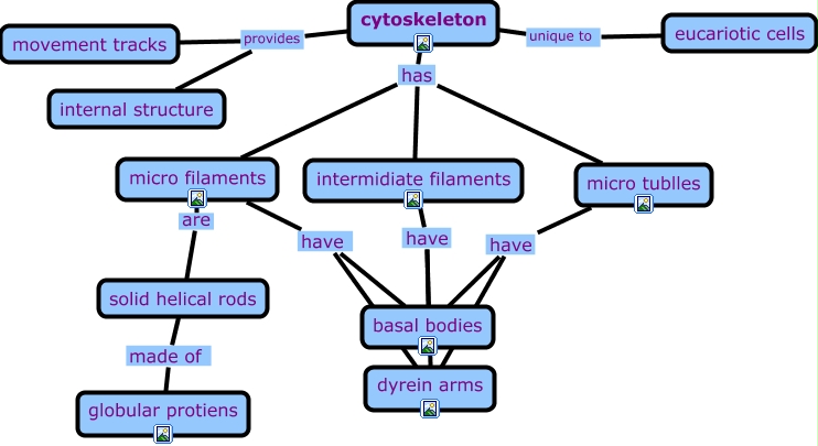 cytoskelitongreen