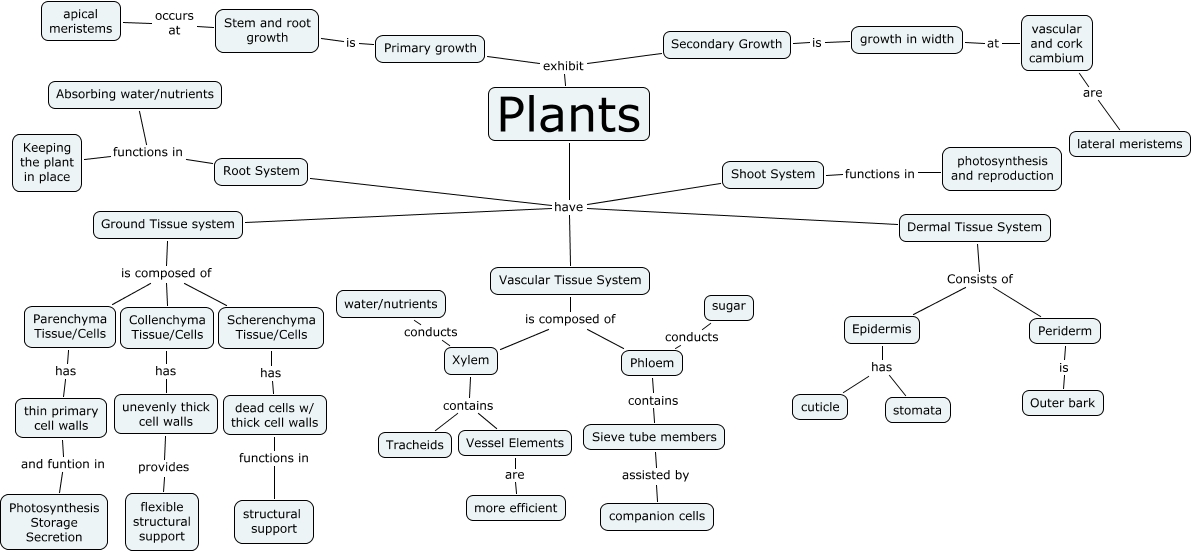 plants2