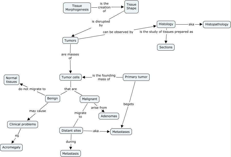 Chapter 2-1 partial map - What are the key features of cancer?