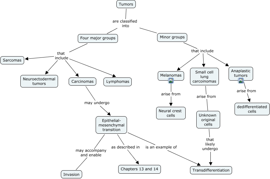 Chapter 2-3 partial map