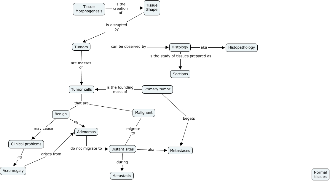 Chapter 2-1 partial map