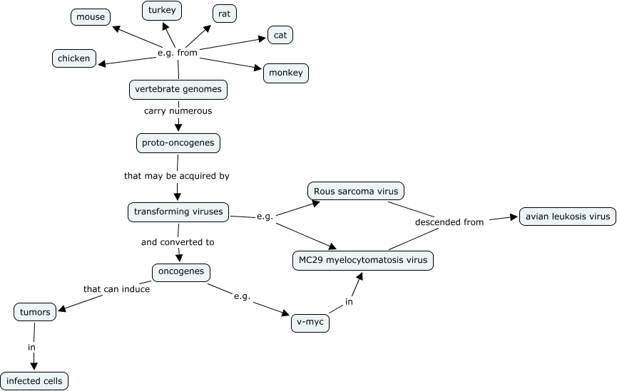 Section 3.10 - What do we know about proto-oncogenes?