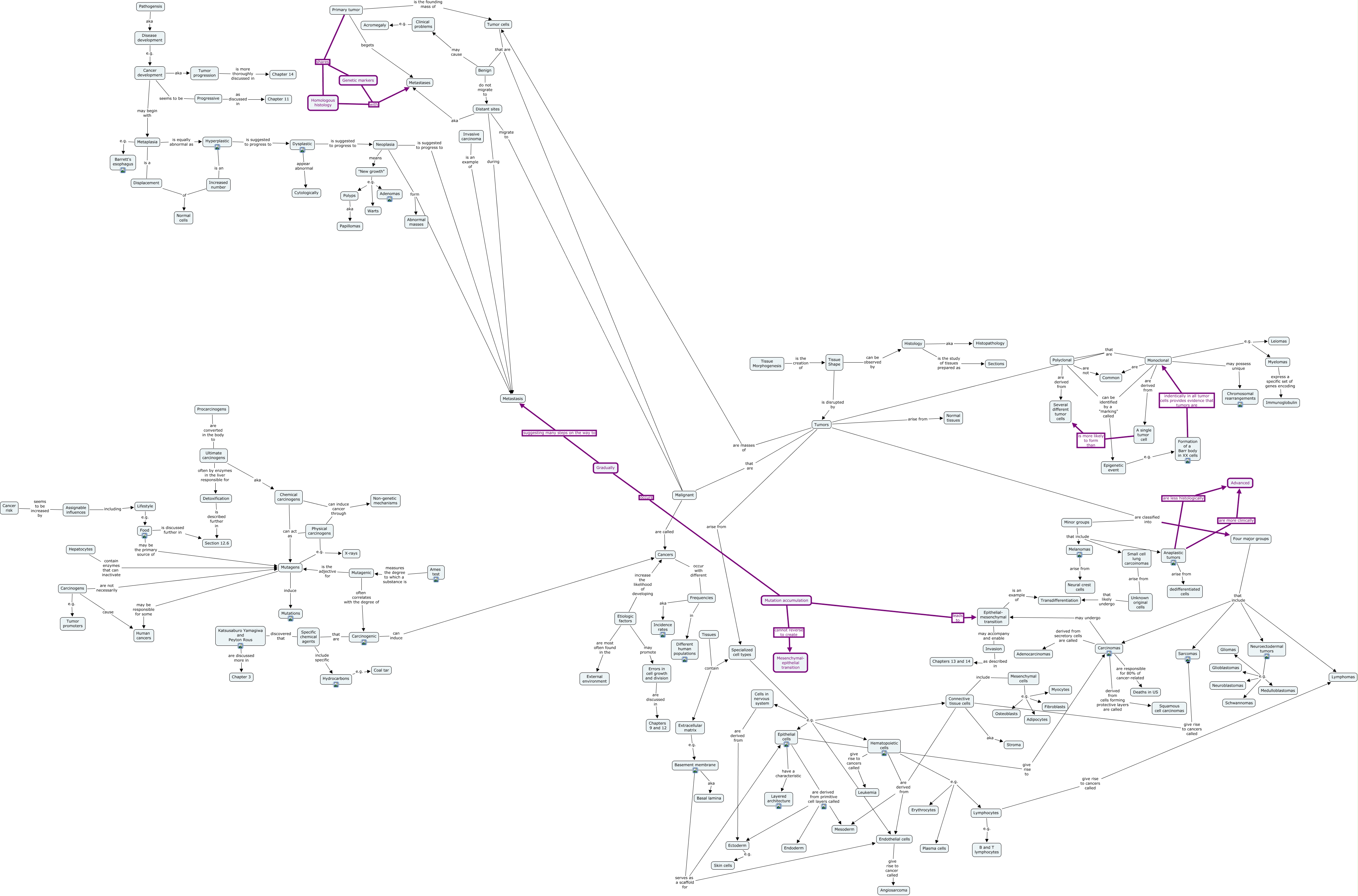 Chapter 2 - Revised - What are the key features of cancer?