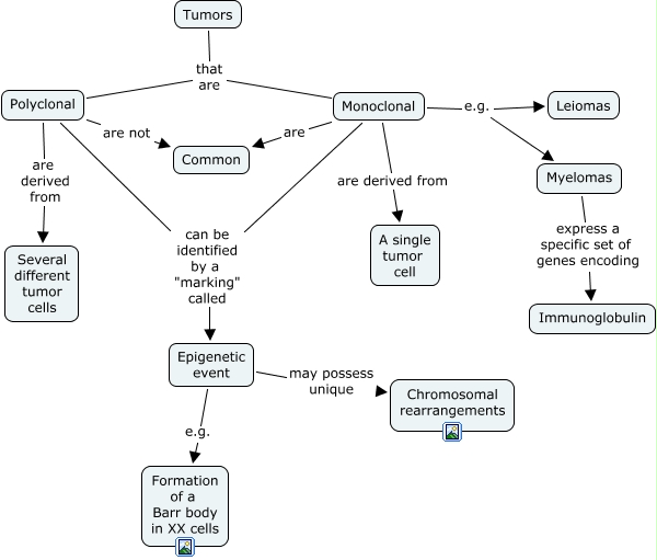 Chapter 2-5 partial map