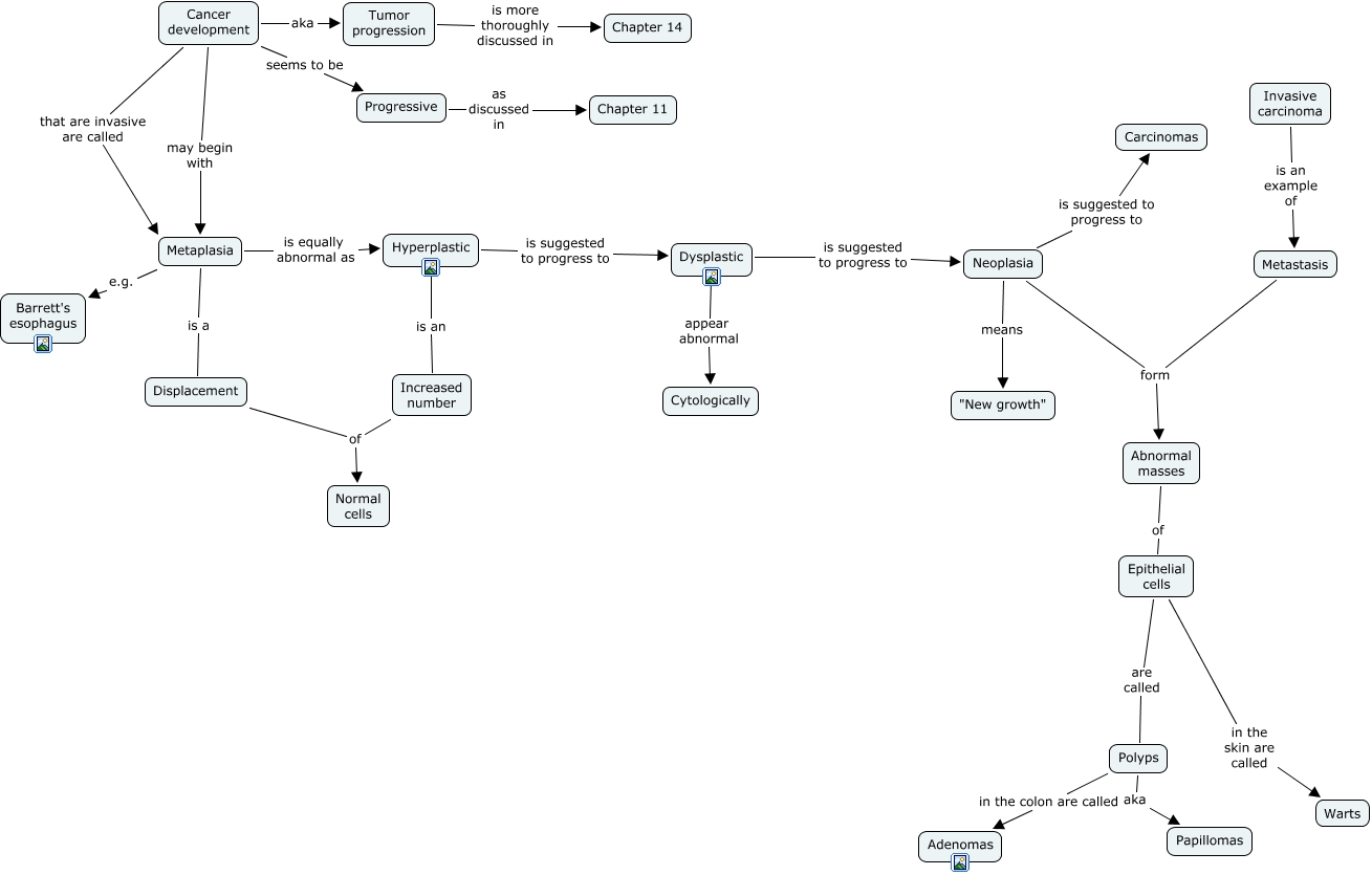 Chapter 2-4 partial map