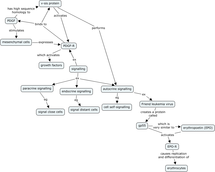 Chapter 5-5 - How can a growth factor gene become an oncogene?