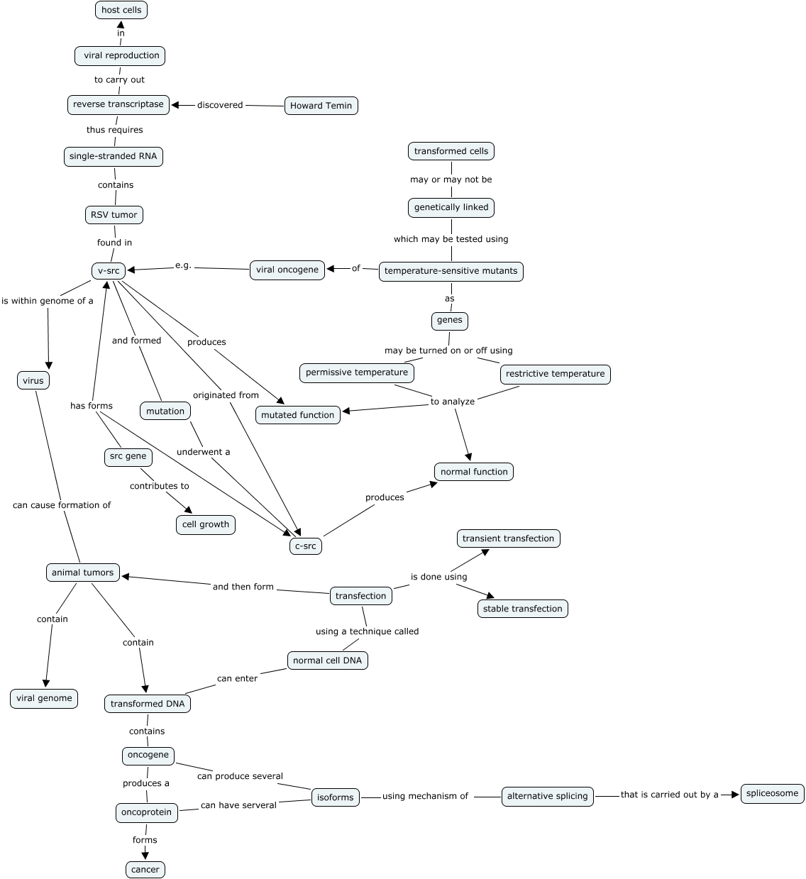 Chapters 3 and 4 - How are tumor viruses and cellular oncogenes related?