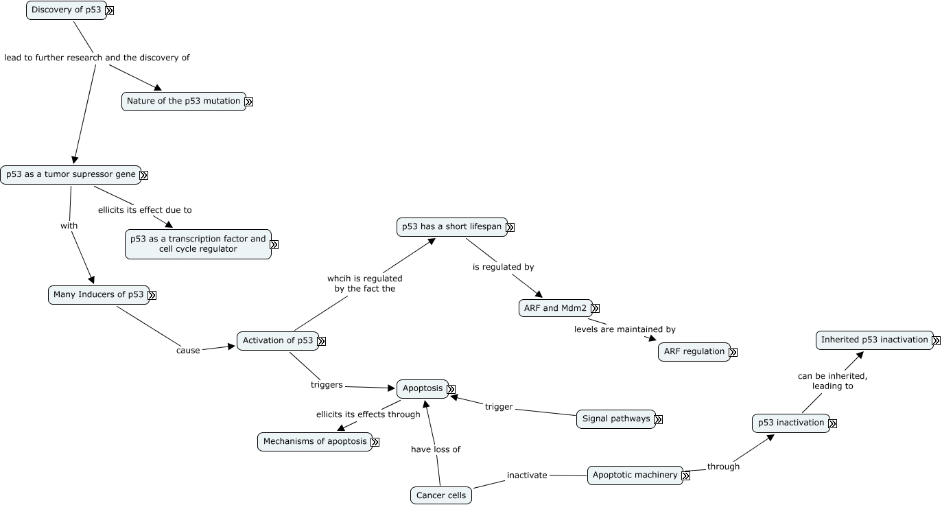 Chapter 9 Merged Map - How do p53 and apoptosis act as the master ...