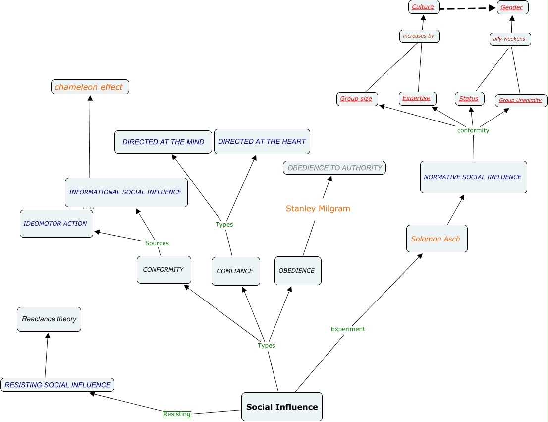 Ch 6 Social Influence