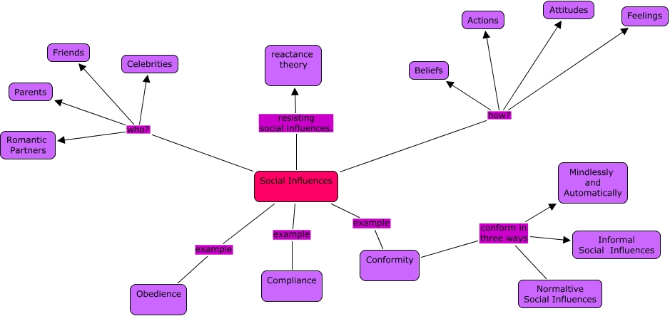 Social Influences