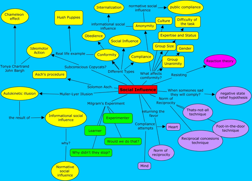 Social Influence