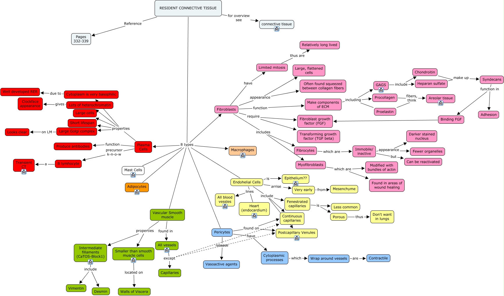 Connective Tissue Concept Map