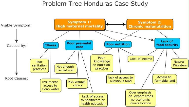 Group 5 Problem Tree Honduras