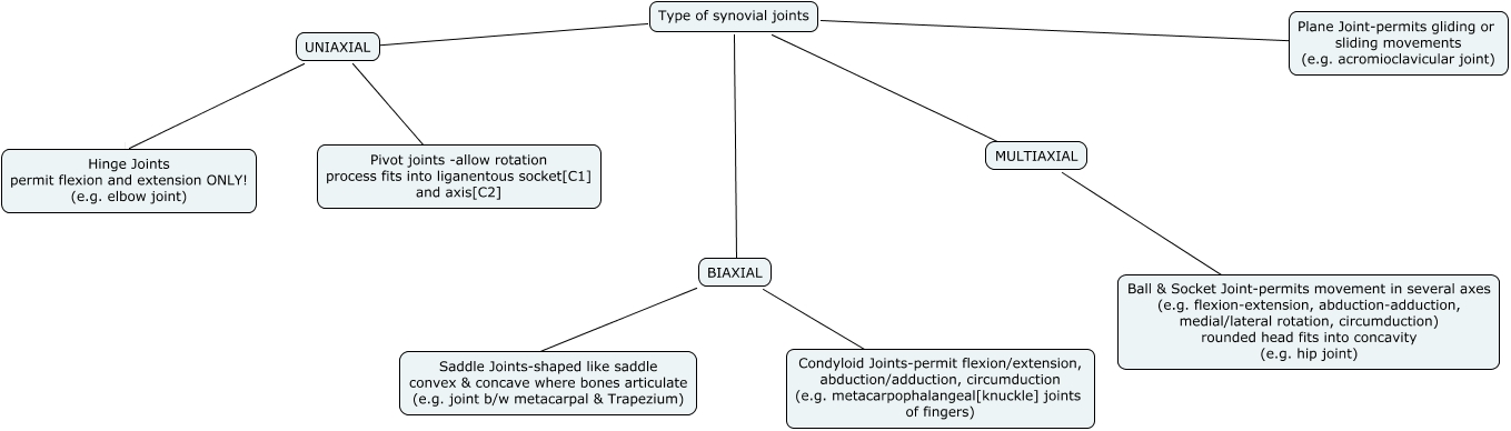 Types of synovial joints