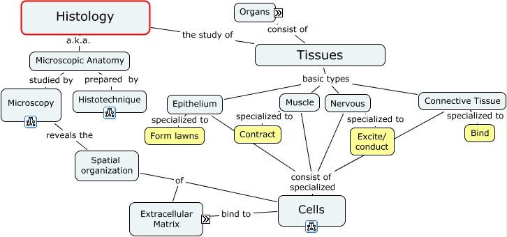 Histology2 - What is histology?
