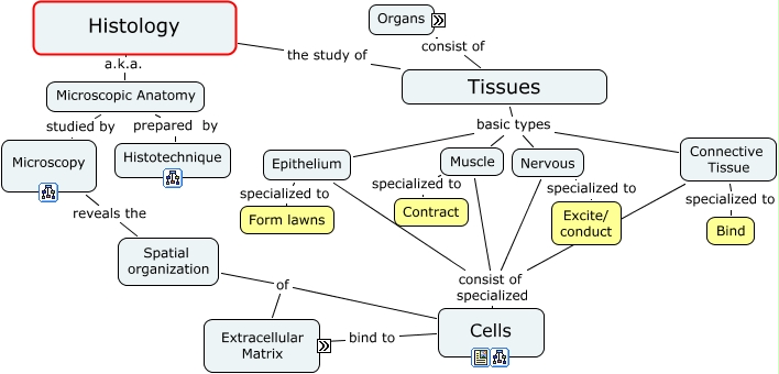 Histology - What is histology?