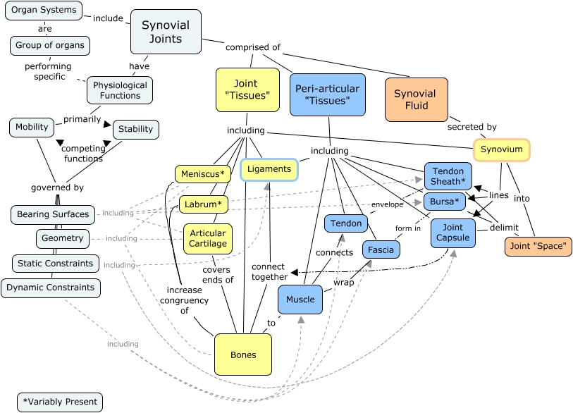 Joint Organ System - What are the organs that contribute to the ...