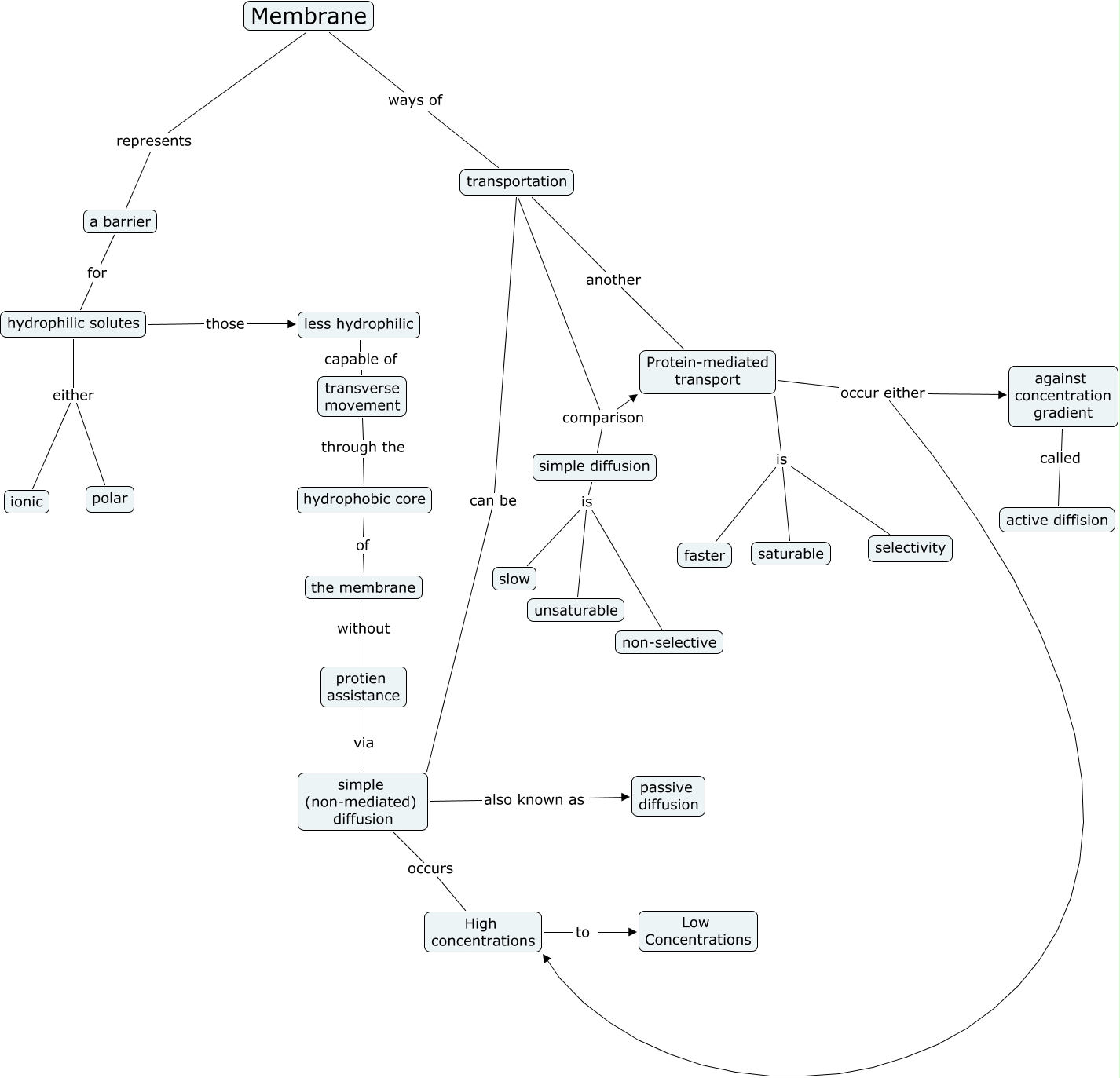 Membrane transport first