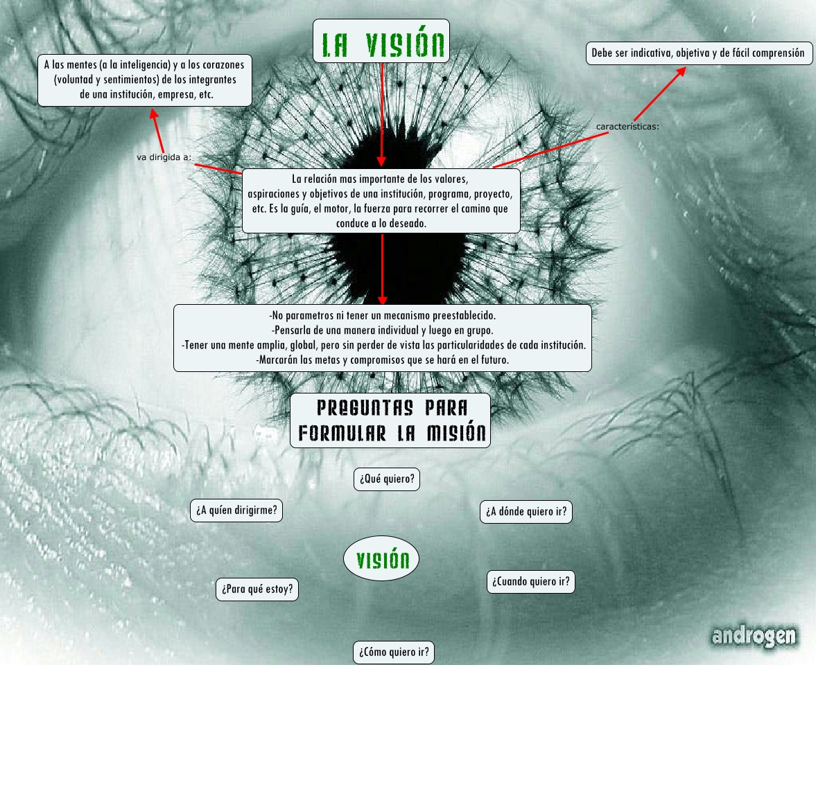 LA VISIÓN