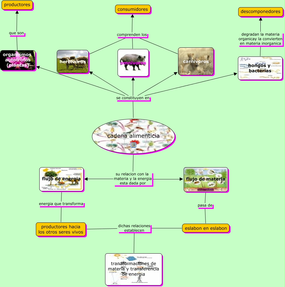 cadena alimenticia 2