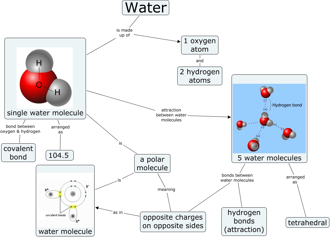 water_practical - molecules_of_life