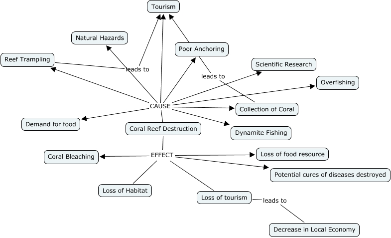 GREENWELL A ICT CONCEPT MAP CORAL REEF
