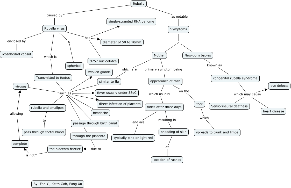 Biology concept map - Rubella - CMap