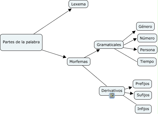 Partes de la palabra