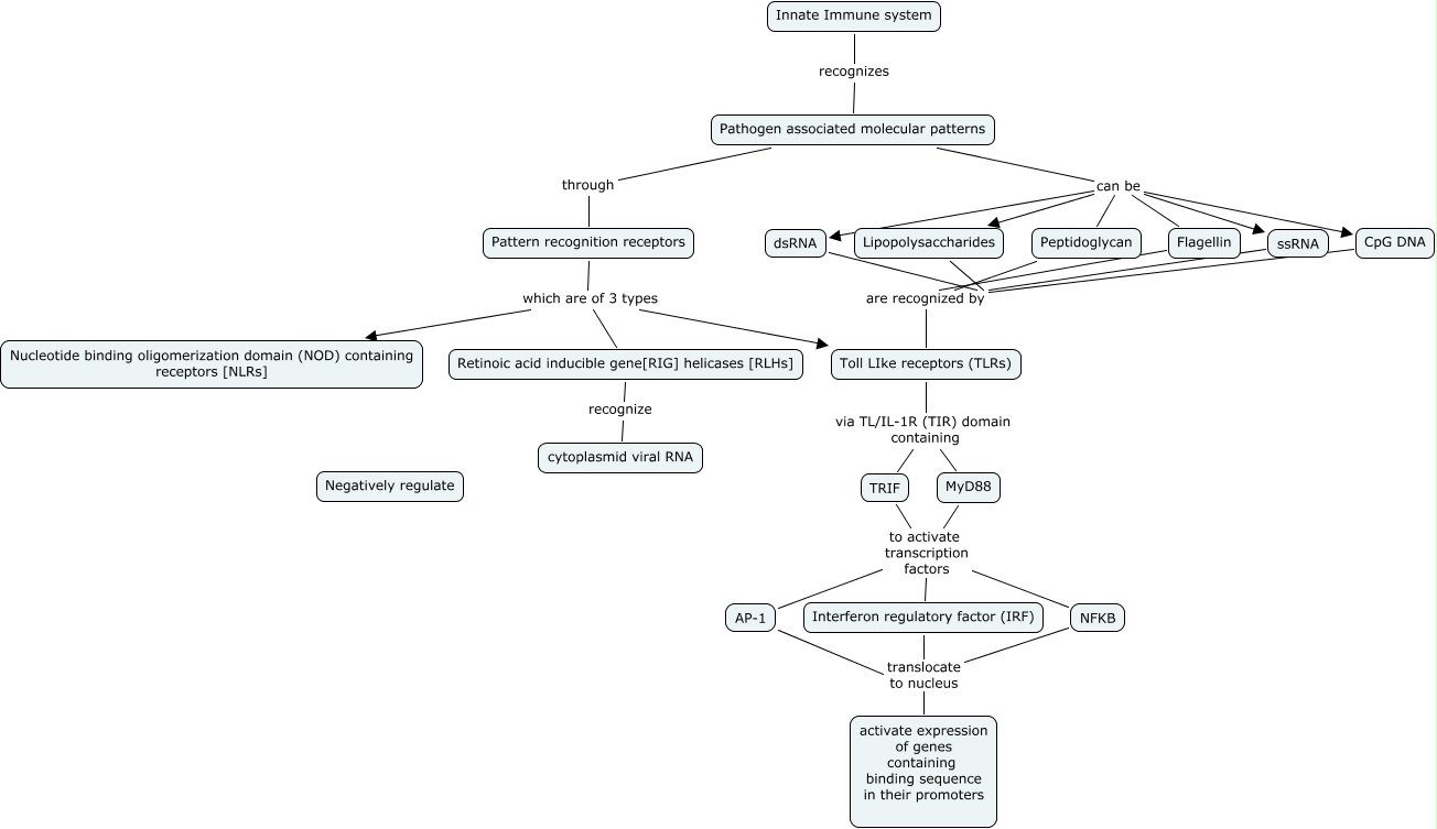 Innate Immunity Concept Map Blanks_innate_adaptive.html