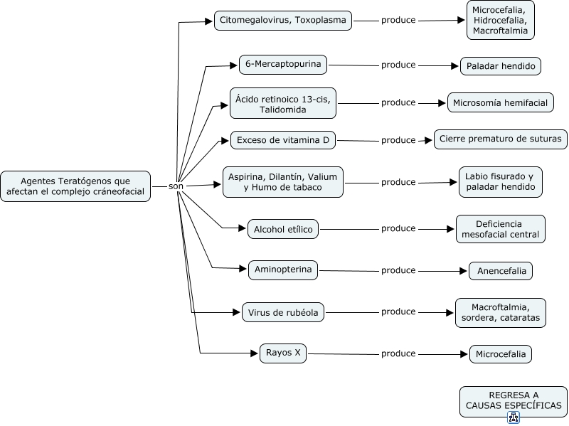 Agentes teratógenos - ¿Cúales son y qué producen los agentes ...
