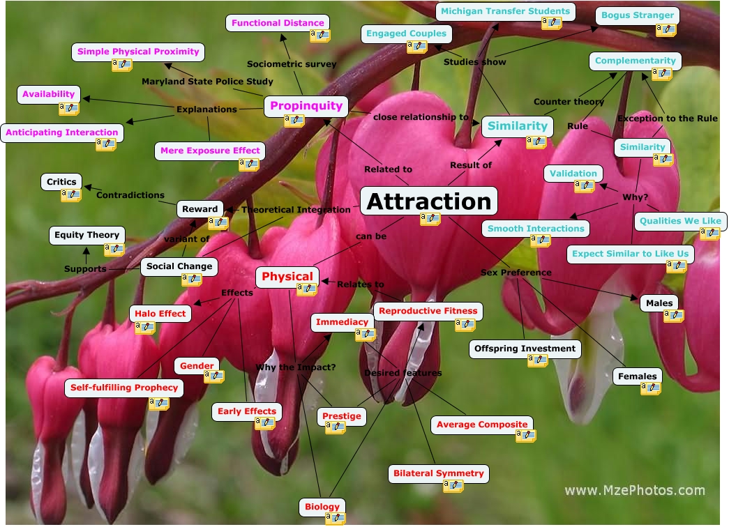 Attraction