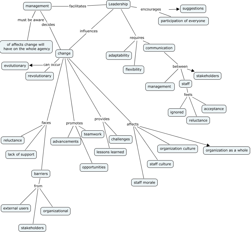 Tami's map - What is leading change?