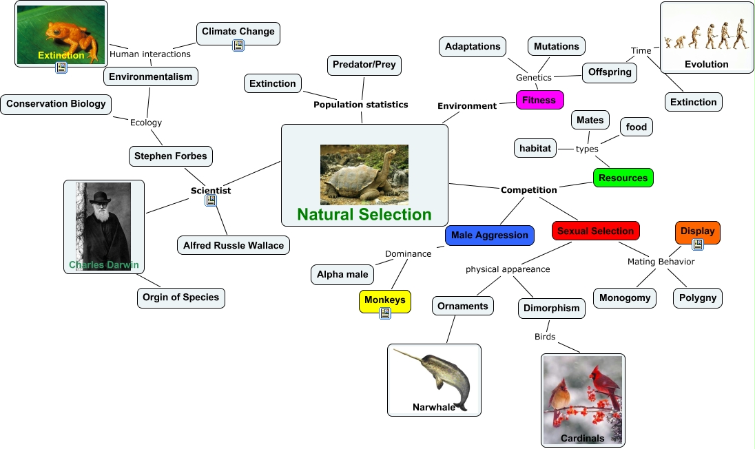 5007Fabeck.Nicholas CMap