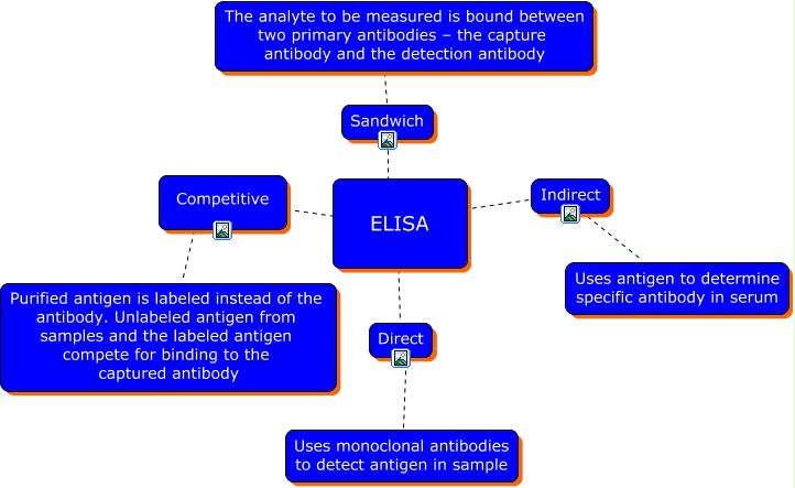 Elisa